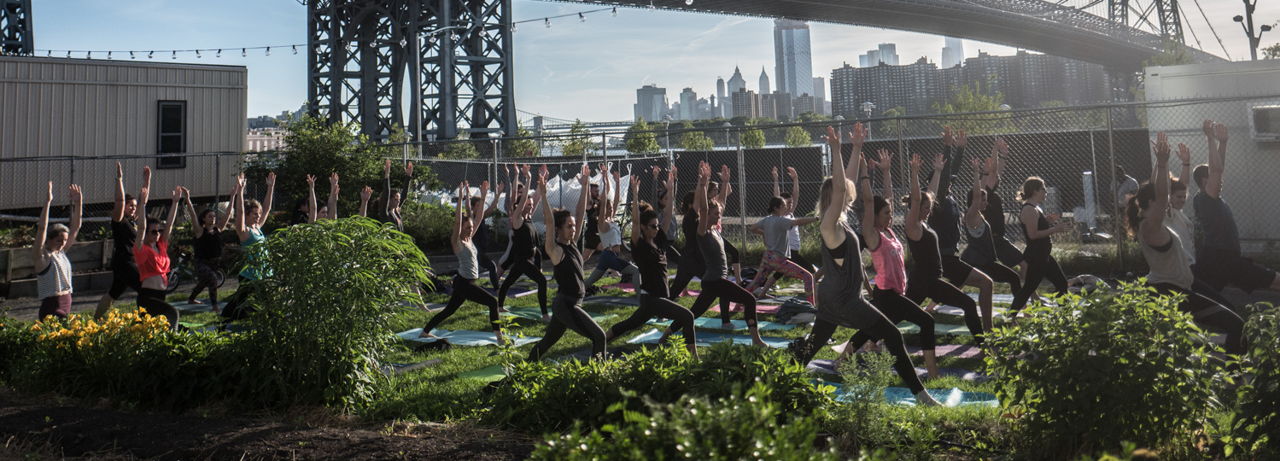 Farm Yoga withfriends